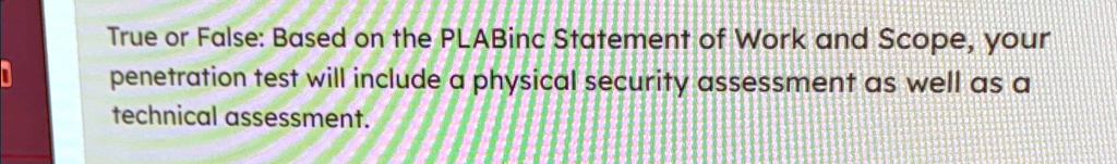 True or False: Based on the PLABinc Statement of Work and...