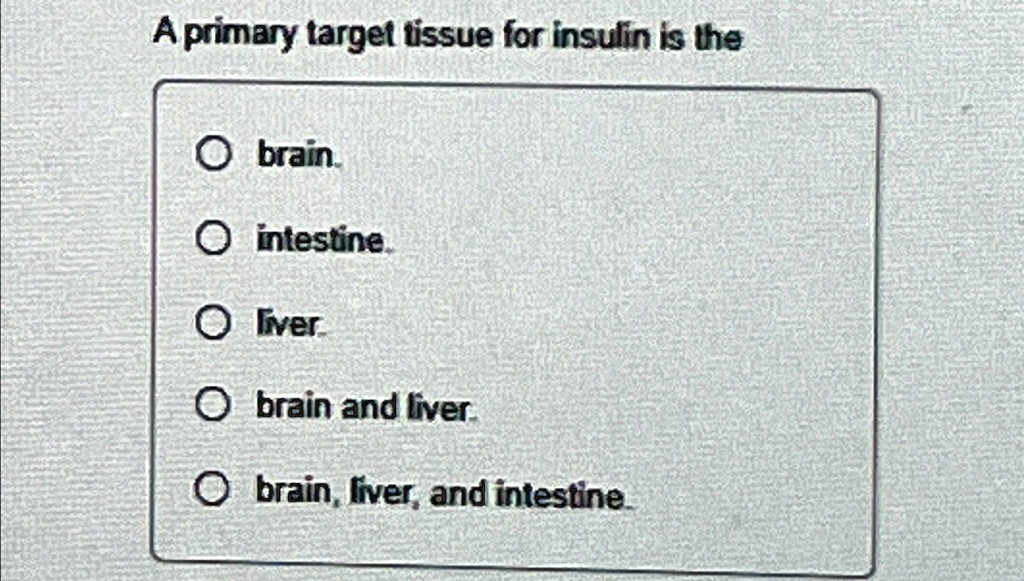 a primary target tissue for insulin is the brain intestine liver brain ...
