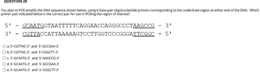 SOLVED: You plan to PCR amplify the DNA sequence shown below, using ...