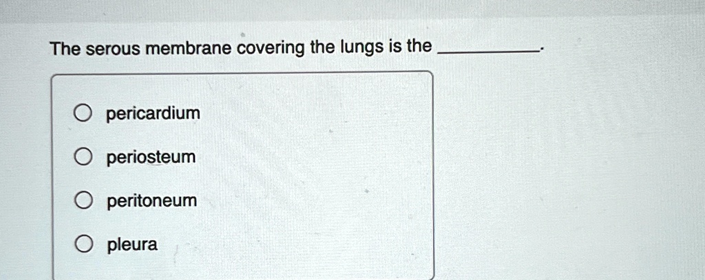 The serous membrane covering the lungs is the O pericardium O ...