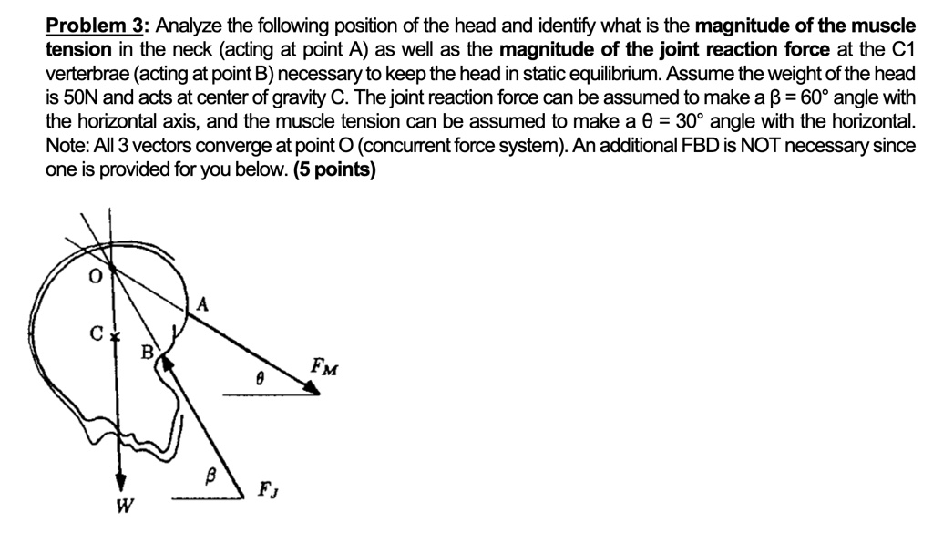 Problem 3: Analyze the following position of the head and identify what ...