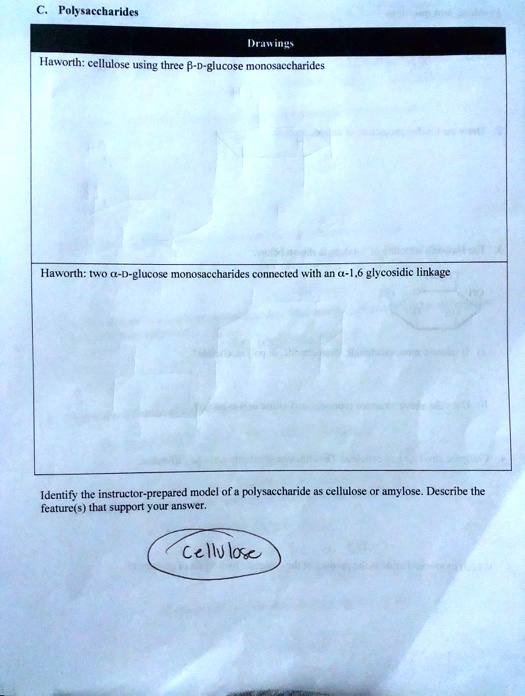 SOLVED: Polysaccharides Haworth: cellulose using three β-D-glucose ... SOLVED: Polysaccharides Haworth: cellulose using three β-D-glucose ...