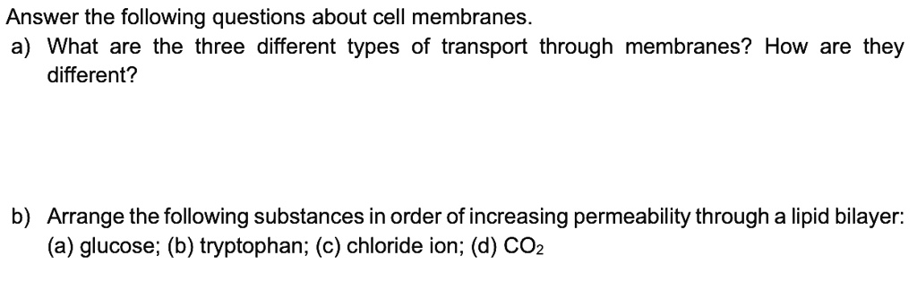 SOLVED: a) What are the three different types of transport through ...