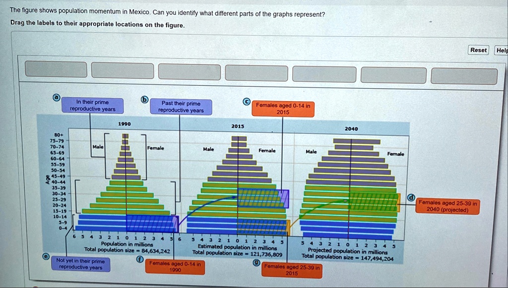 the figure shows population momentum in mexico can you identify what ...