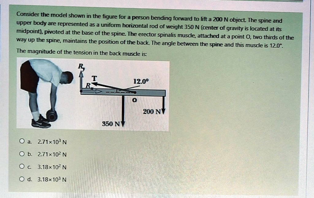 SOLVED: Consider the model shown in the figure for a person bending ...