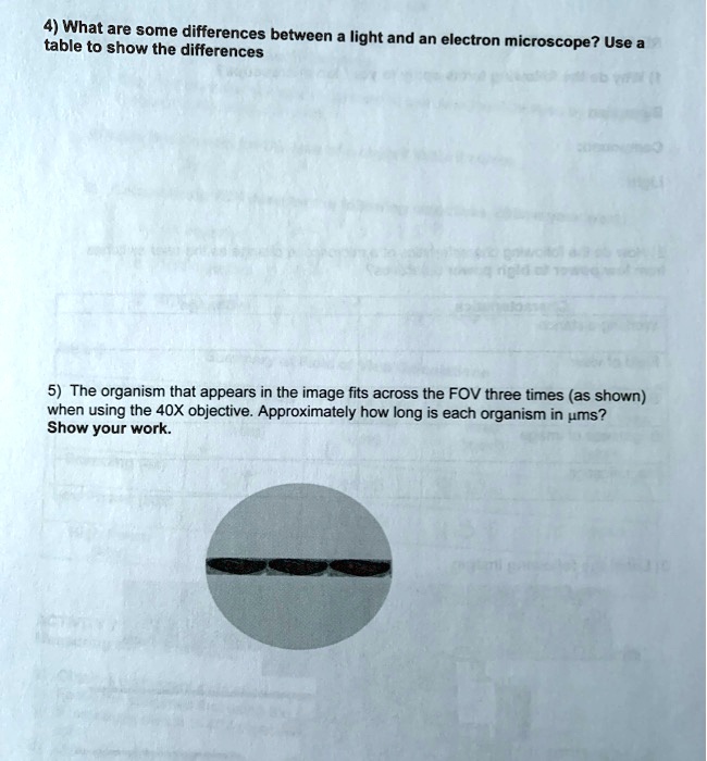 SOLVED: What are some differences between a light table and an electron ...