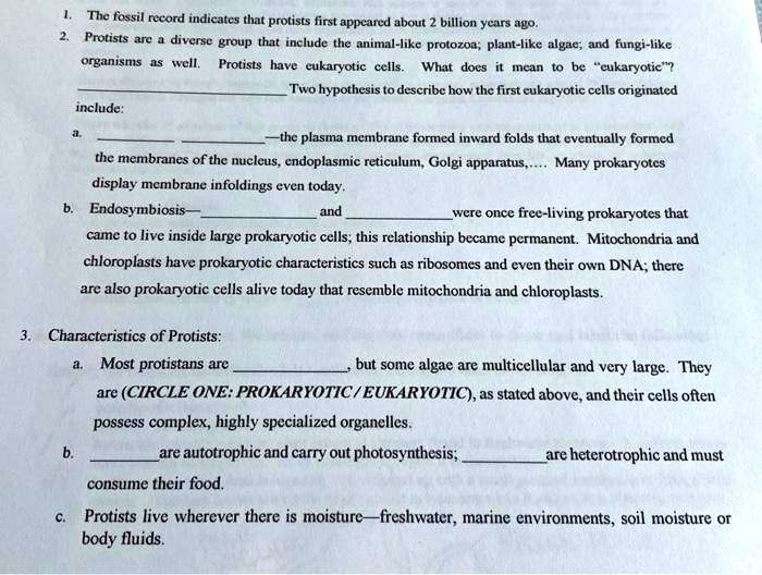 SOLVED: The fossil record indicates that protists first appeared about ...