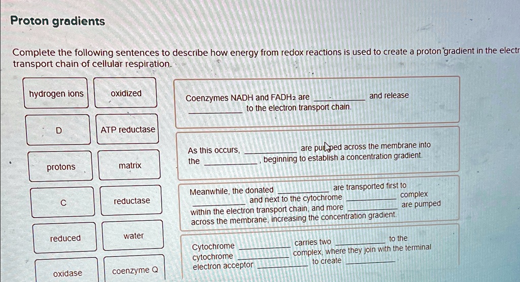 Proton gradients Complete the following sentences to describe how energy from redox reactions is ...