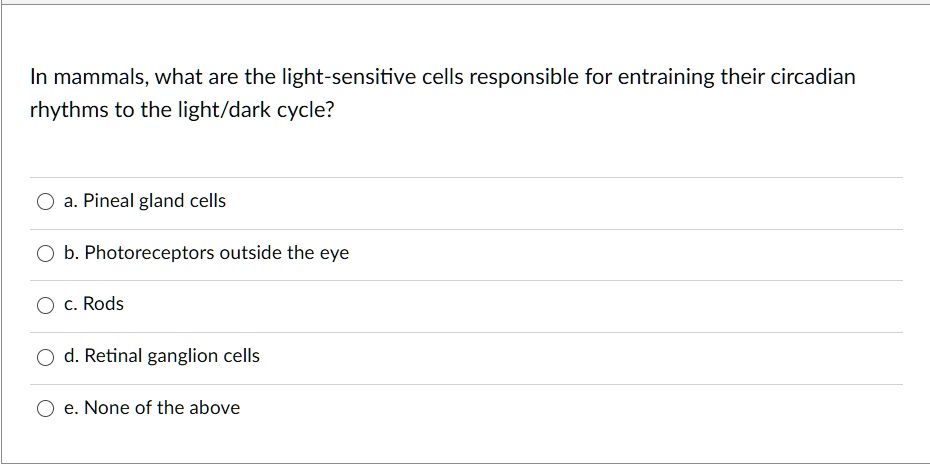 in mammals what are the light sensitive cells responsible for ...