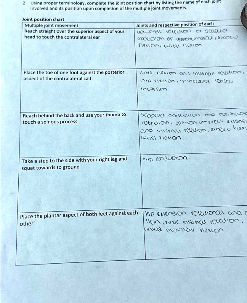 SOLVED: Using proper terminology, complete the joint position chart by ...