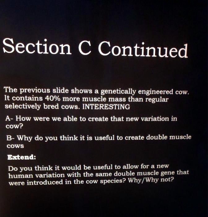 SOLVED:Section C Continued The previous slide shows a genetically ...