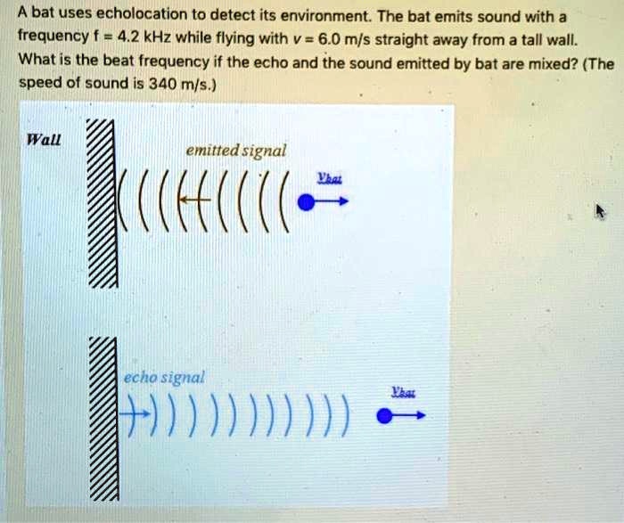 SOLVED: A bat uses echolocation to detect its environment. The bat ...
