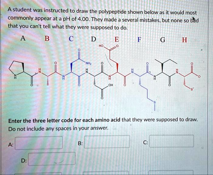 a student was instructed to draw the polypeptide shown below as it ...