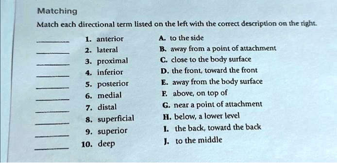 SOLVED: Matching Match each directional term listed on the left with ...
