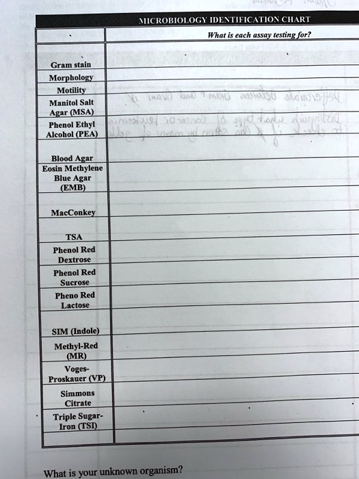 SOLVED: MICROBIOLOGY IDENTIFICATION CHART What is each assay testing ...