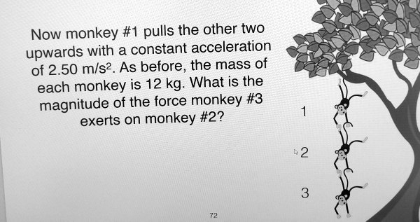 SOLVED: Now monkey #1 pulls the other two upwards with a constant ...