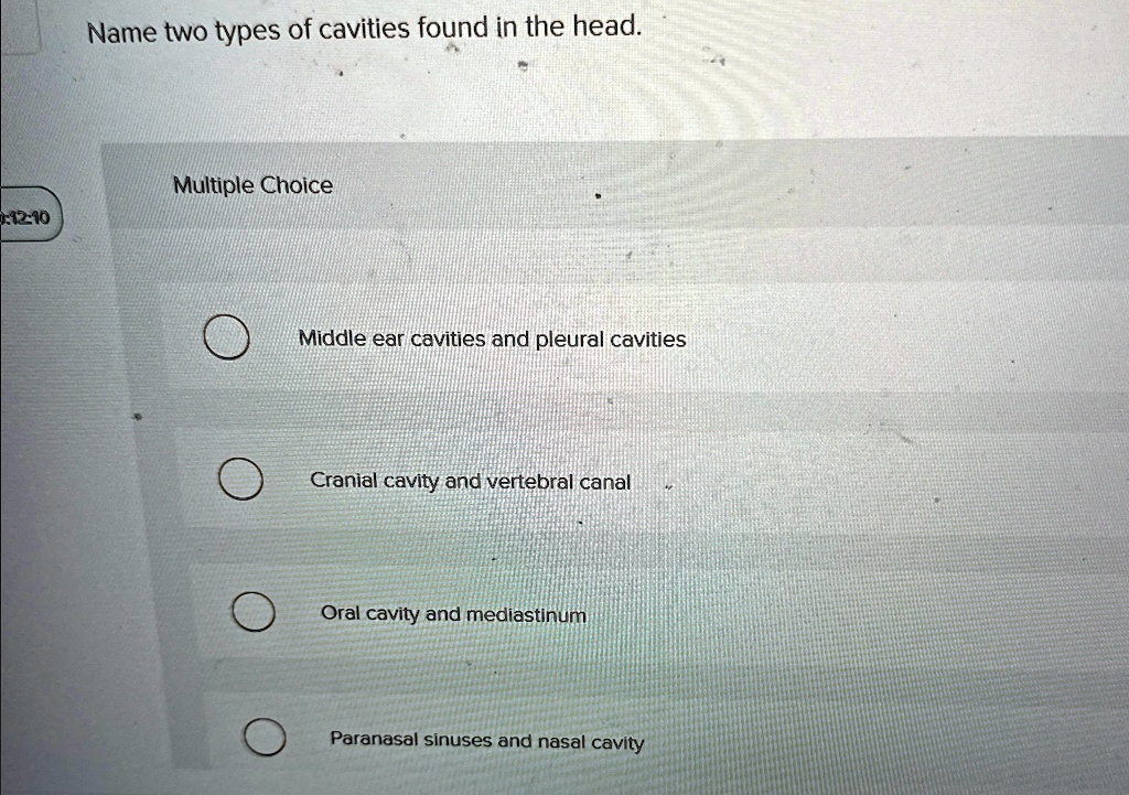 name two types of cavities found in the head multiple choice middle ear ...