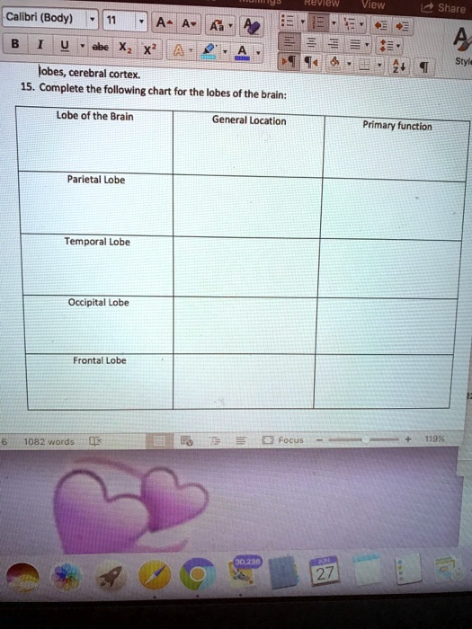 SOLVED: Lobes of the Cerebral Cortex Styl 15. Complete the following ...
