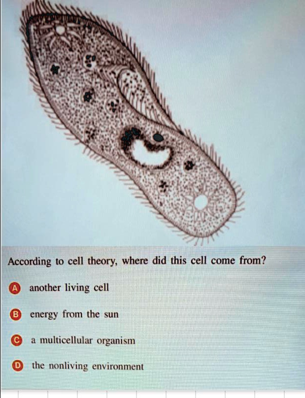 SOLVED: 'Hurry please! According to the cell theory where did this cell ...