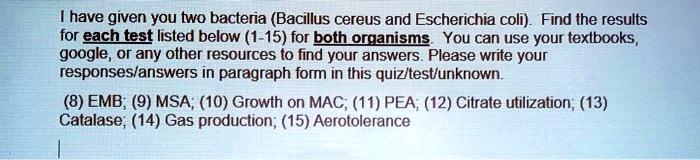 SOLVED: I have given you two bacteria (Bacillus cereus and Escherichia ...