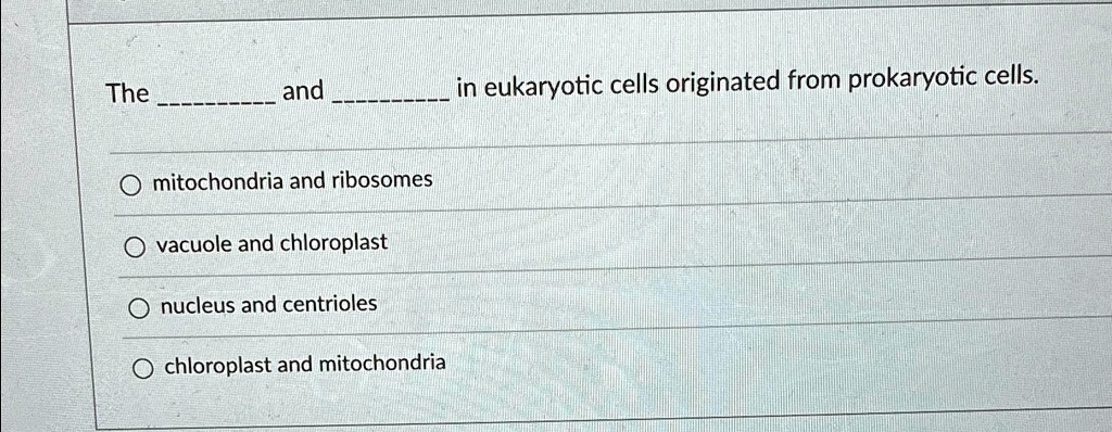 The and in eukaryotic cells originated from prokaryotic cells ...