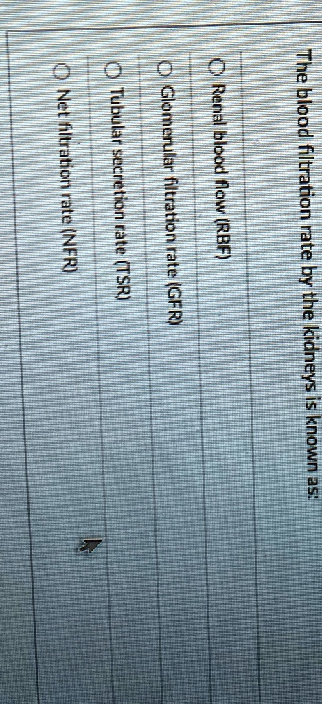 The blood filtration rate by the kidneys is known as: Renal blood flow ...