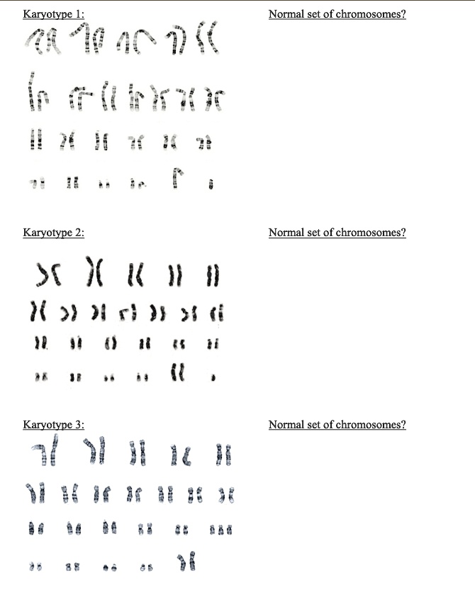SOLVED: 2A. Humans normally have 23 pairs of chromosomes. Look at the ...