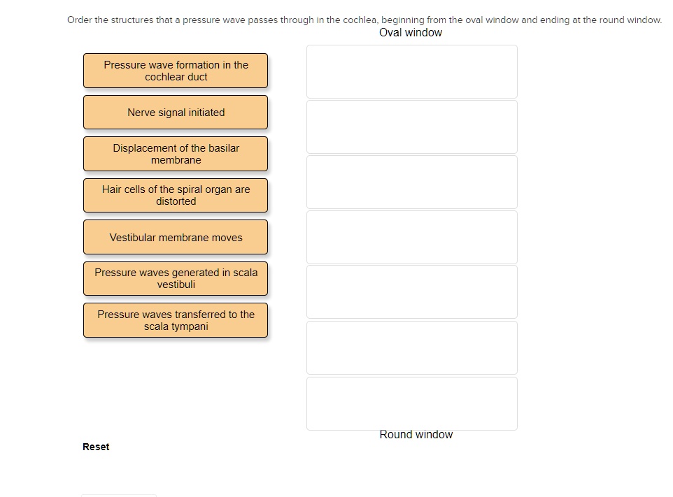 [GET ANSWER] Order the structures that a pressure wave passes through ...