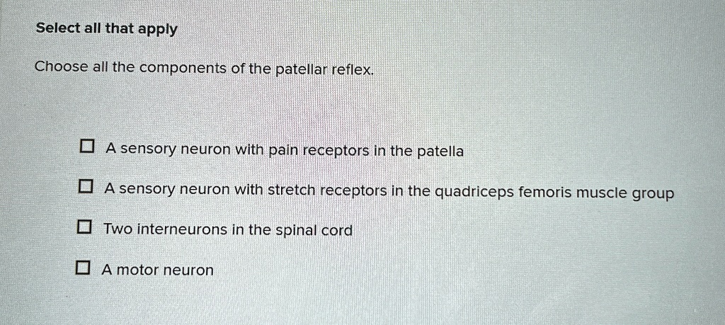 Select all that apply Choose all the components of the patellar reflex. ? A sensory neuron with ...