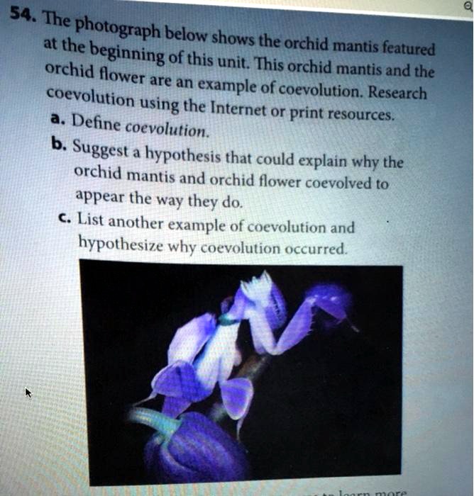 SOLVED: 54. The" photograph ! below at the shows the orchid mantis ...