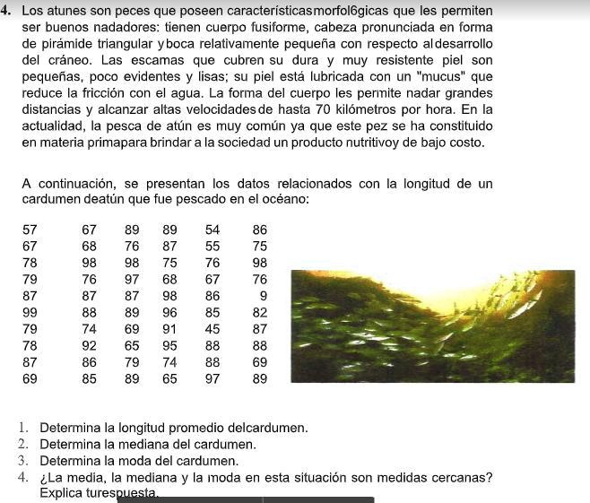 a continuacion se presentan los datos relacionados con la longitud de ...