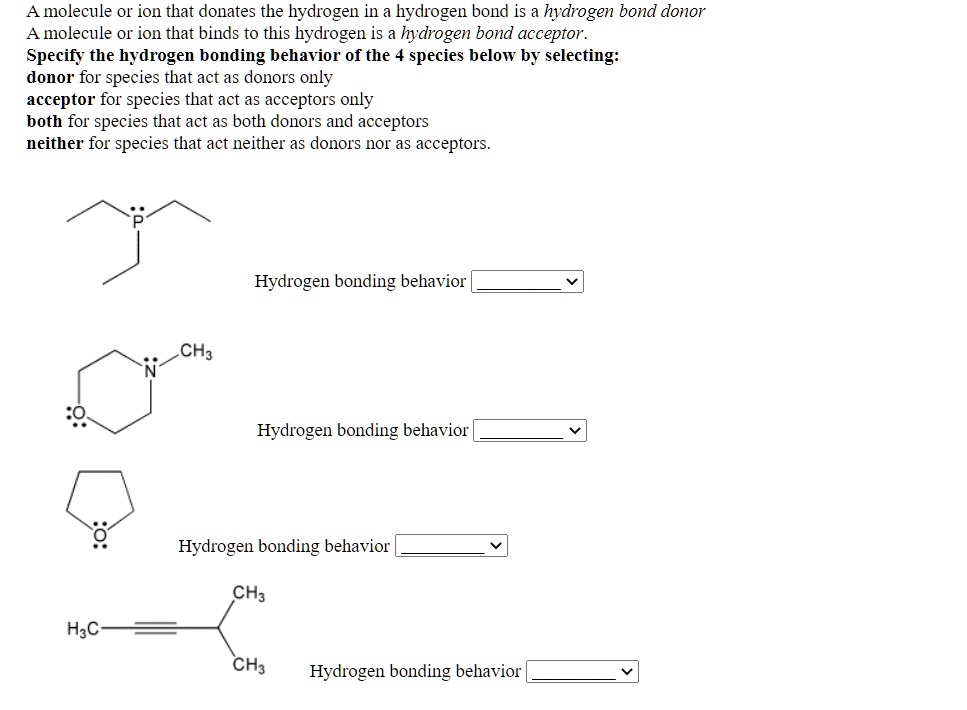 SOLVED: A molecule ion that donates the hydrogen in a hydrogen bond is ...