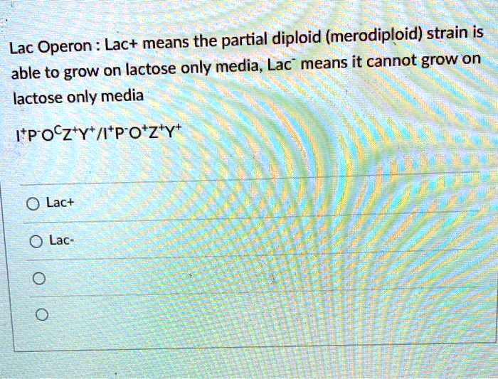 SOLVED: Lac+ means the partial diploid (merodiploid) strain is Lac ...