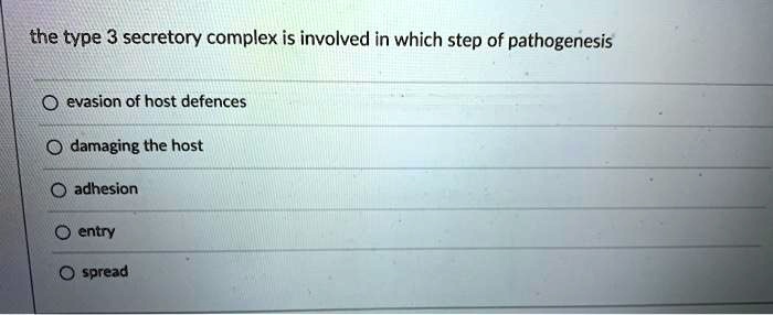 SOLVED: the type 3 secretory complex is involved in which step of ... SOLVED: the type 3 secretory complex is involved in which step of ...