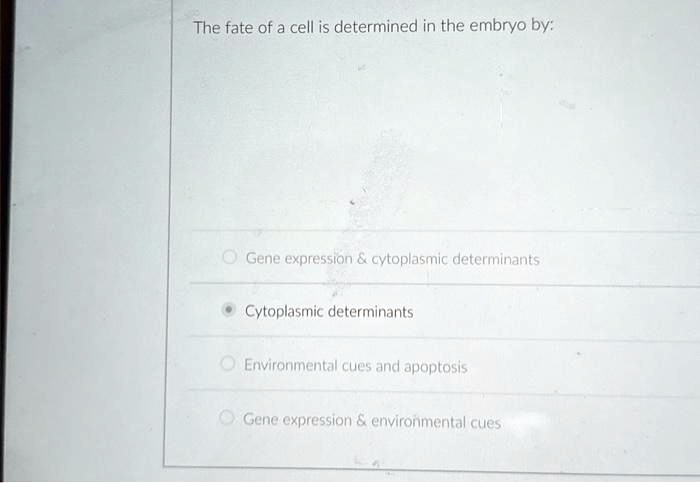 SOLVED: The fate of a cell is determined in the embryo by: - Gene ...