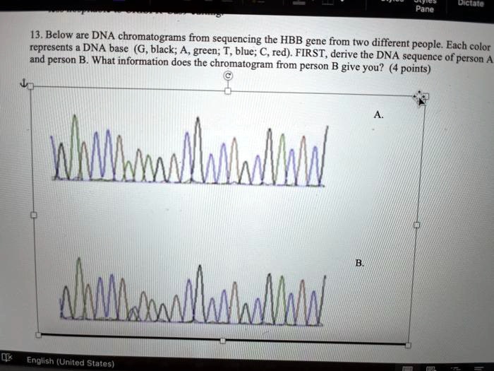 SOLVED: Pane 13. Below are DNA chromatograms from sequencing the HBB ...