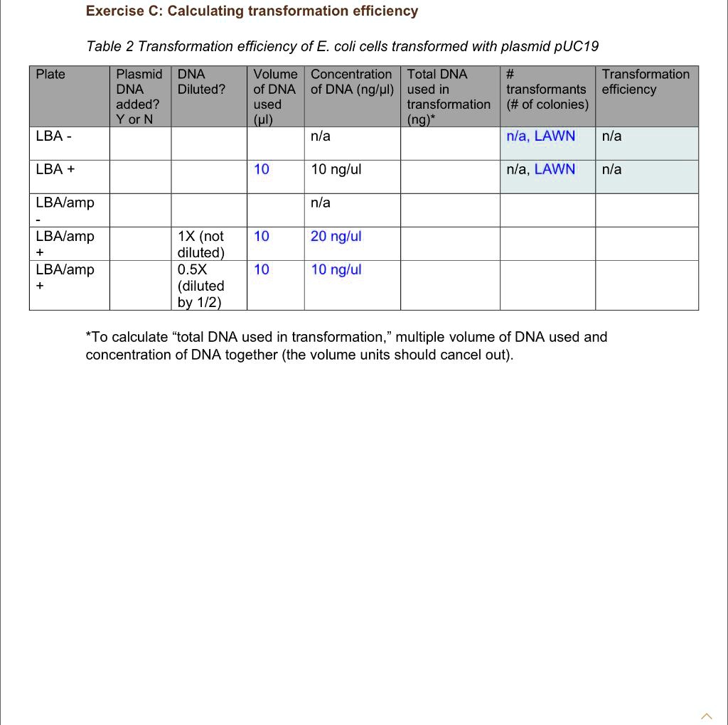 SOLVED: Exercise C: Calculating Transformation Efficiency Table 2 ... SOLVED: Exercise C: Calculating Transformation Efficiency Table 2 ...