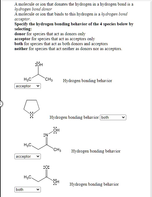SOLVED: molecule or ion that donates the hydrogen in a hydrogen bond is ...