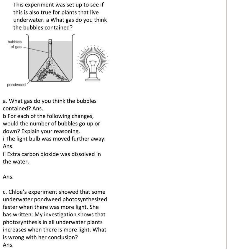 This experiment was set up to see if this is also true for plants that ...
