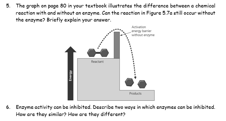 SOLVED: The graph on page 80 in your textbook illustrates the ...