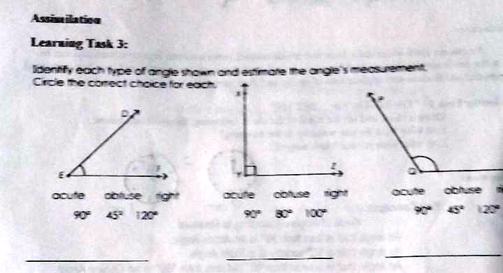 SOLVED: 'Learning Task 3:Identify each type of angle shown and estimate the angle's measurement ...