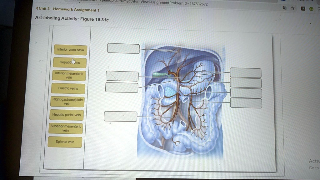 SOLVED: emView?assignmentProblemID=167532672