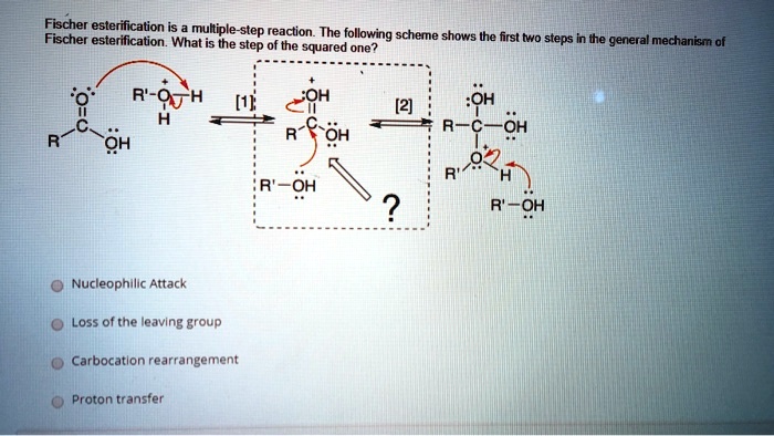 SOLVED: Fischer esterification is multiple-step reaction The following ...