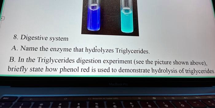 SOLVED: 8. Digestive system A. Name the enzyme that hydrolyzes ...