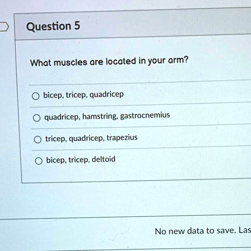please help me with this question question 5 what muscles are located ...