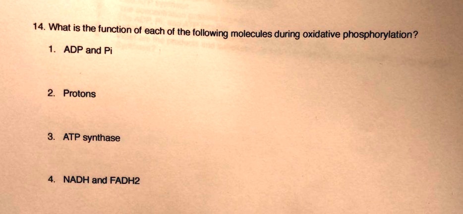 SOLVED: 14. What is the function of each of the following molecules ...