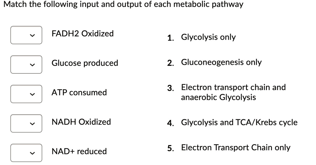 SOLVED: Match the following input and output of each metabolic pathway: 1. FADH2: Oxidized 2 ...