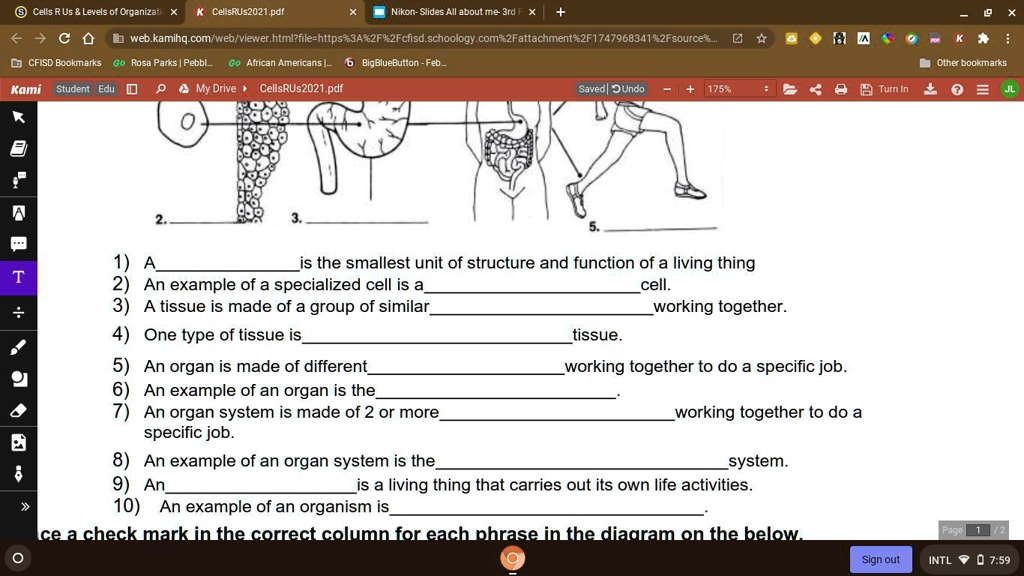 SOLVED: Ack- I need help in science :D Cells R Us Levels of Organization CellsRUs52021.pdf Nikon ...