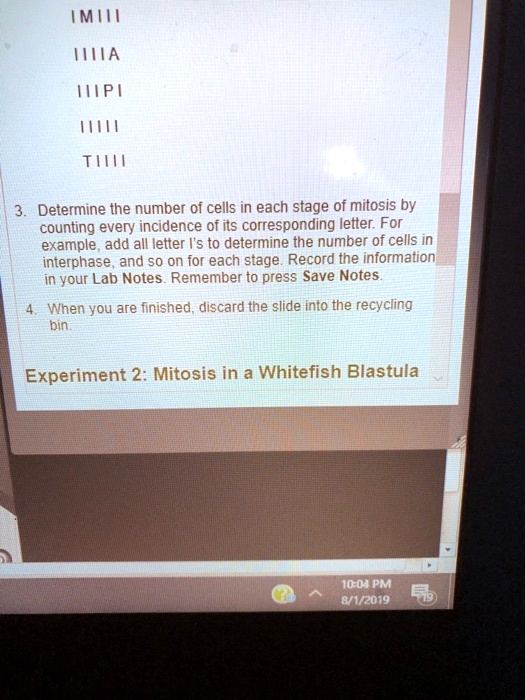 IMIII ????? IIIPI IIII 3. Determine the number of cells in each stage ...