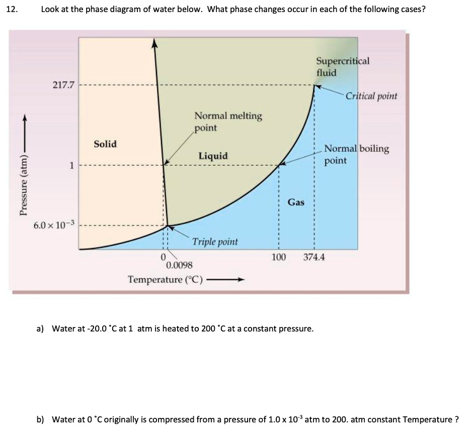 SOLVED: Look at the phase diagram of water below. What phase changes ...